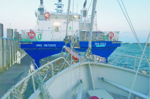 Sea Gale – Shipwreck Log