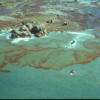 Amoco Cadiz - Shipwreck Log