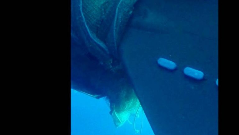 Joseph Roty II – Shipwreck Log