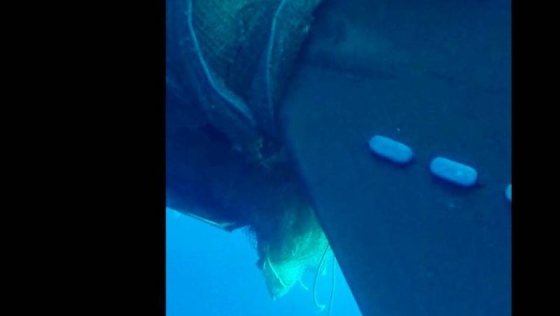 Joseph Roty II – Shipwreck Log